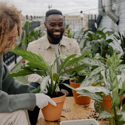 Vitamin G – Arts Partnership Surrey